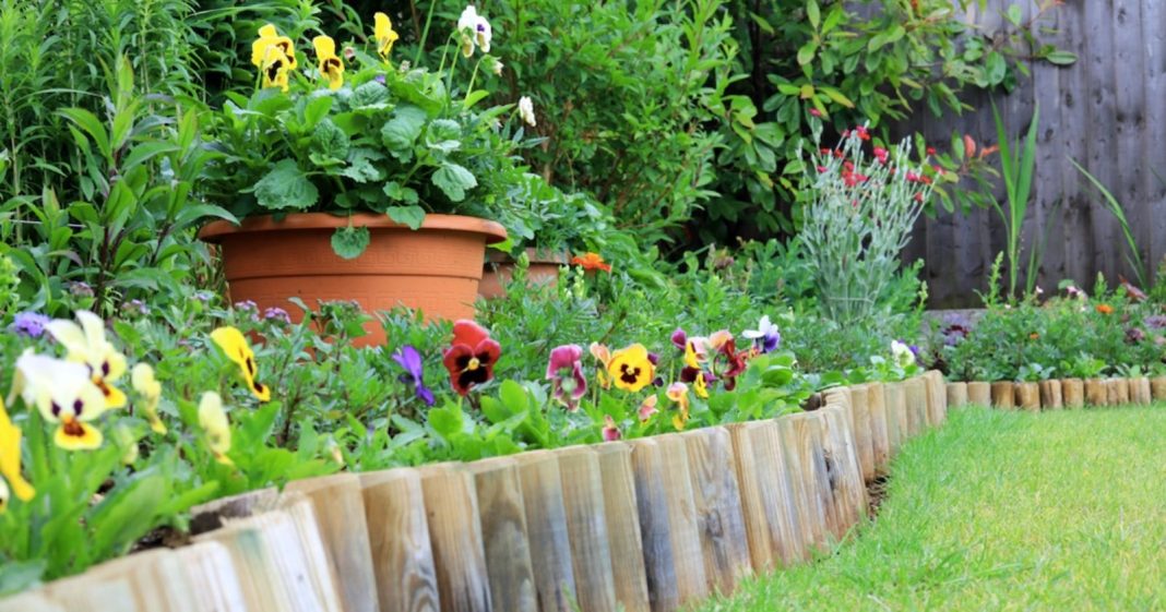 Garden: 5 creative borders and 100% recycling for your flower beds ...